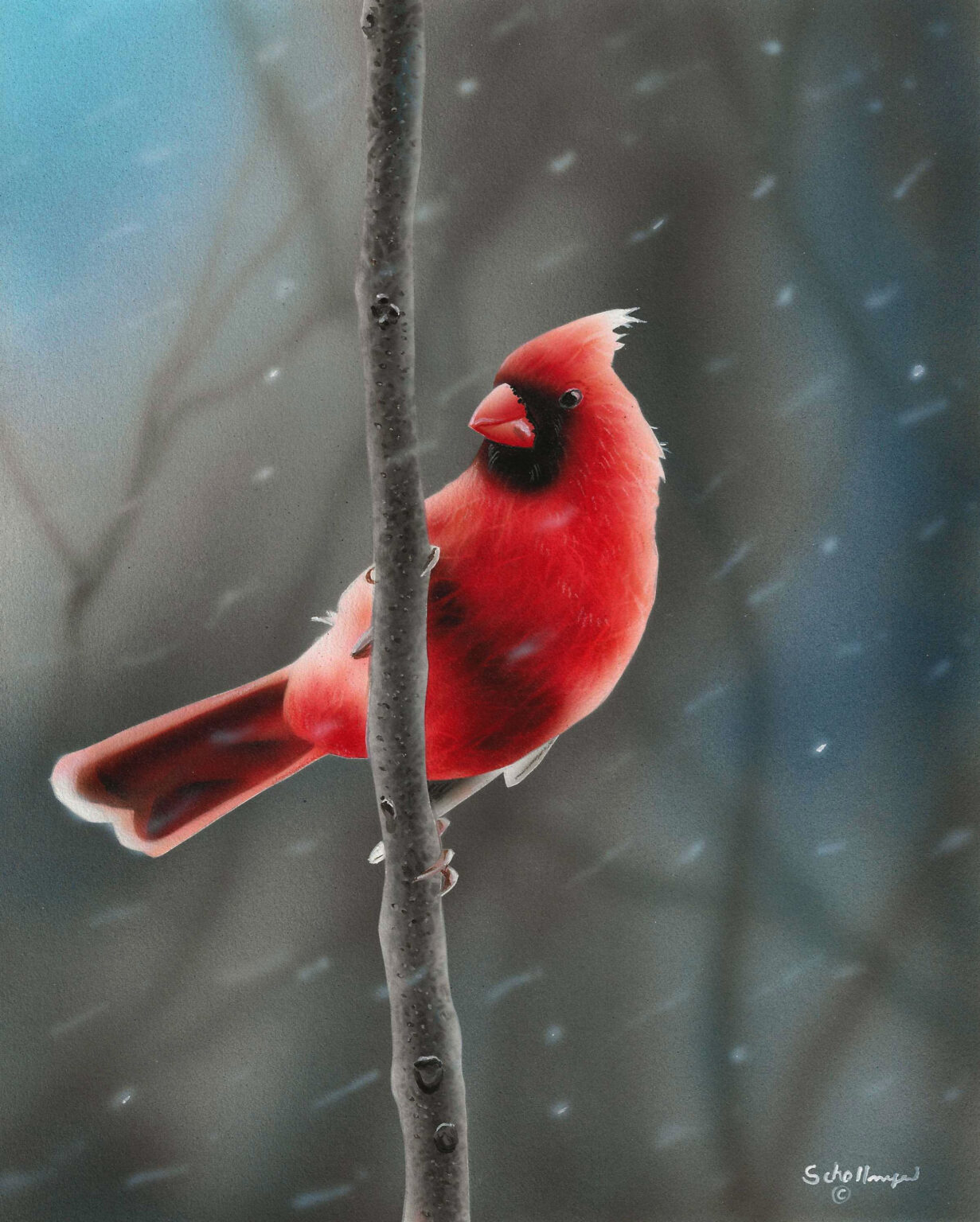 Spitting Snow